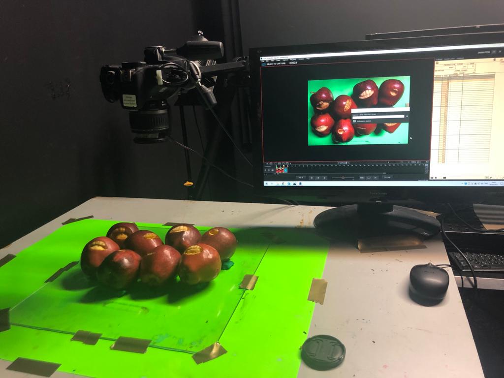 Animal Locomotion is an animation film you won't forget | Uncoated Magazine